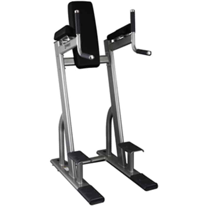 Vertical Knee Raise Dip - Upper Body Tool | MotionFitness