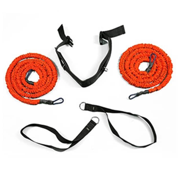 Get Fit Fast with Stroops The Cheetah - Motion Fitness